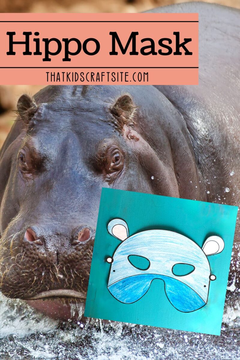 Hippo Mask - That Kids' Craft Site
