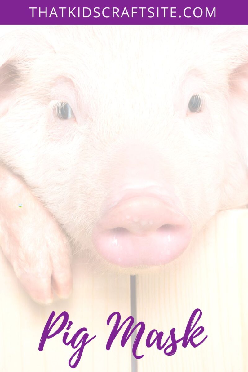 Pig Mask Craft - That Kids' Craft Site