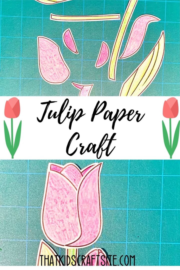 Tulip Paper Craft - That Kids' Craft Site